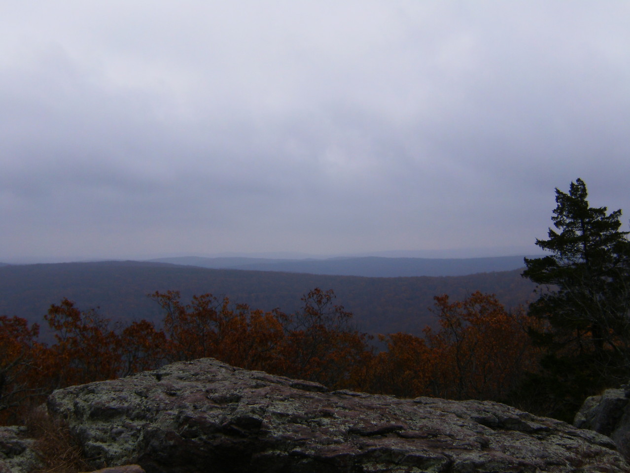 Bell Mountain Wilderness | The Compulsive Hiker