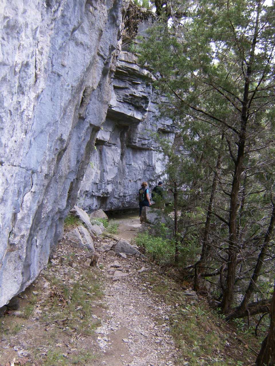 North Sylamore Creek Trail | The Compulsive Hiker