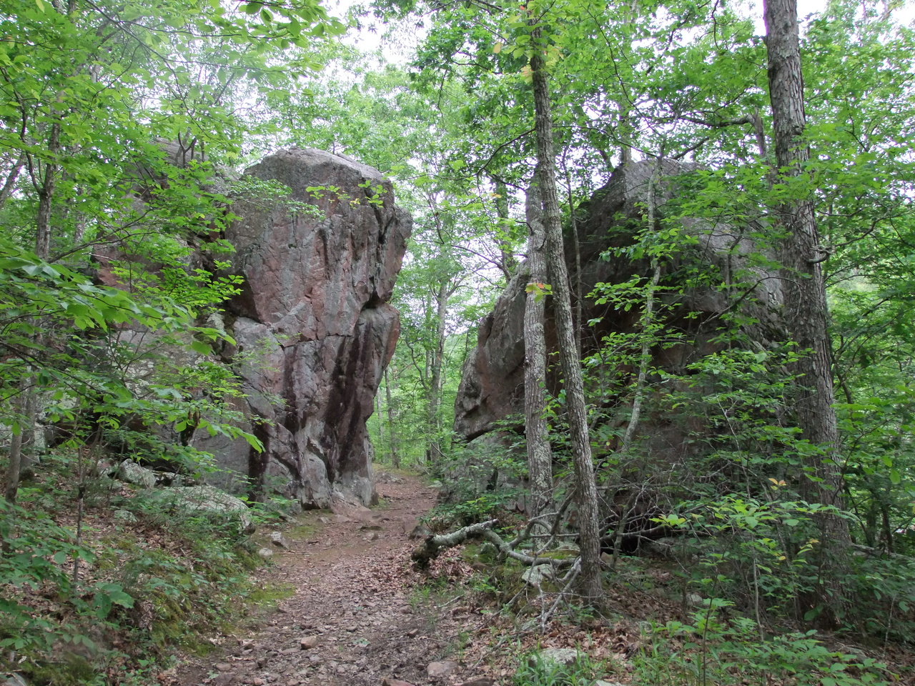 Taum Sauk Mountain State Park | The Compulsive Hiker