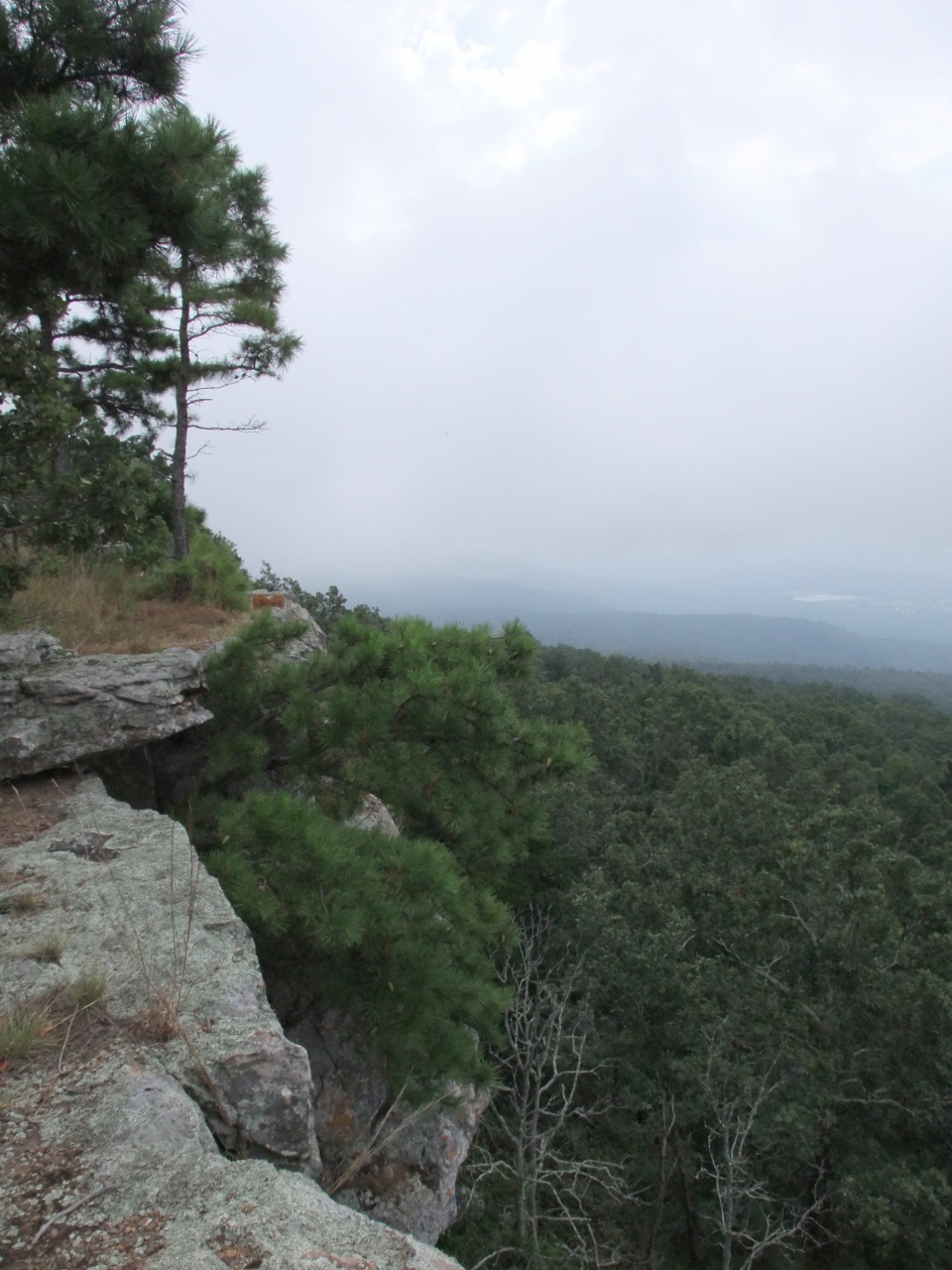 Mount Magazine trails | The Compulsive Hiker