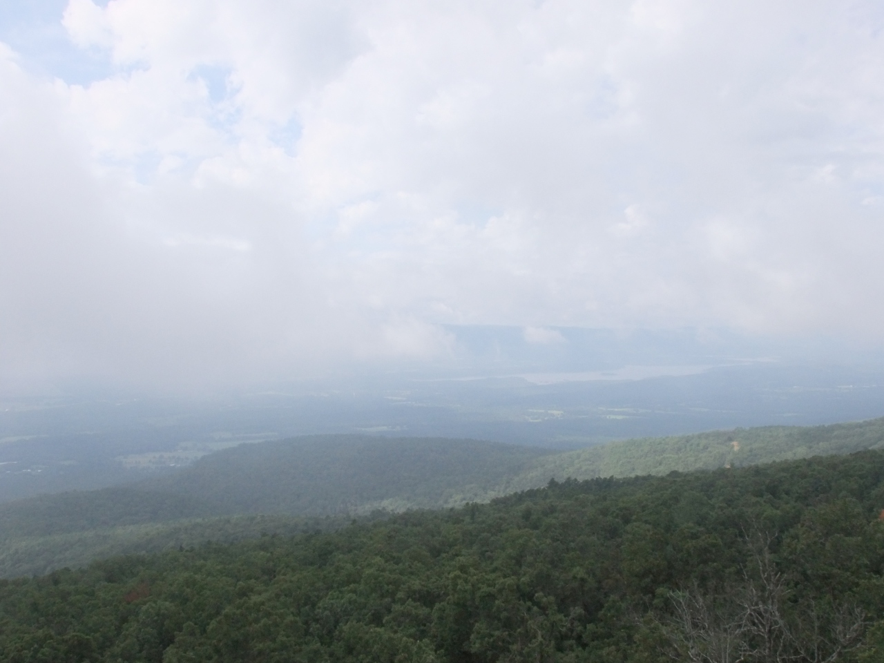 Mount Magazine trails | The Compulsive Hiker