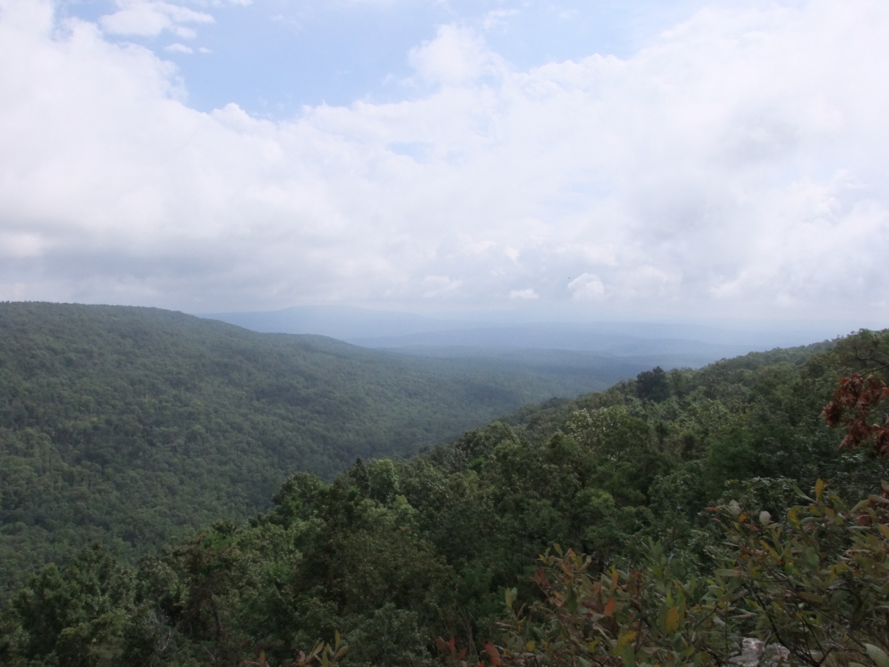 Mount Magazine trails | The Compulsive Hiker