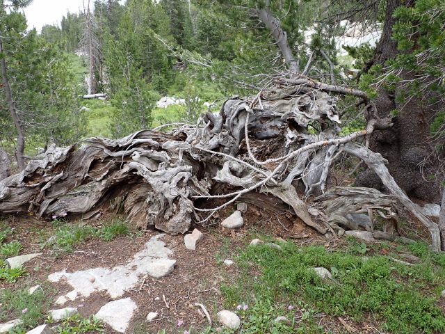 Wind River Range – Silas Canyon | The Compulsive Hiker