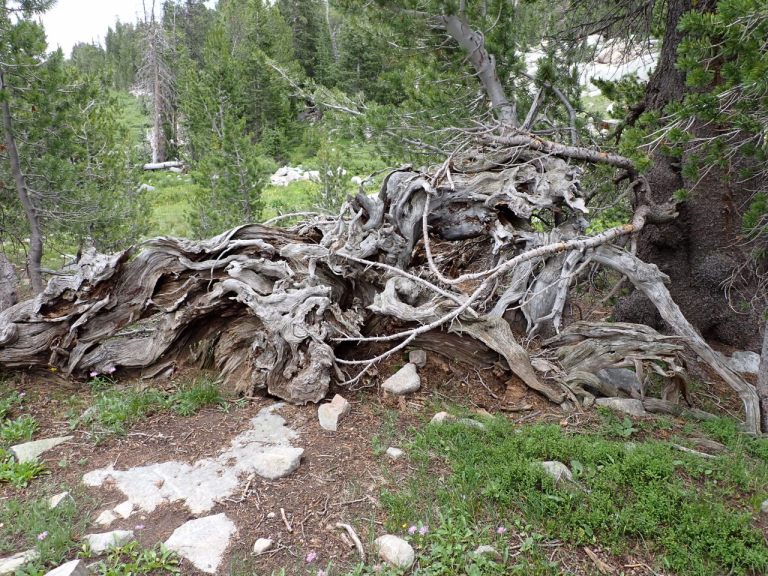 Wind River Range – Silas Canyon | The Compulsive Hiker