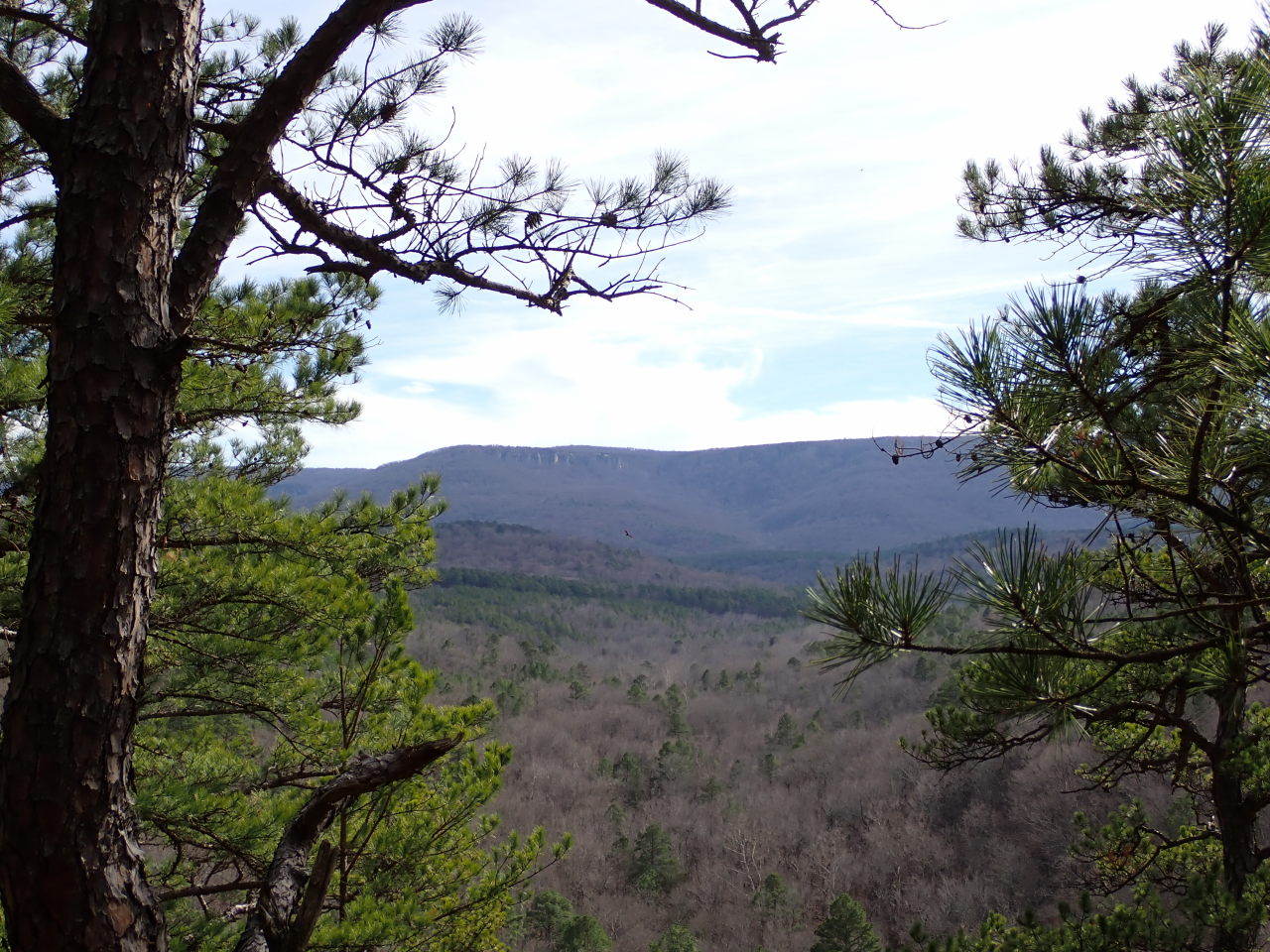 Mt Magazine Trail | The Compulsive Hiker