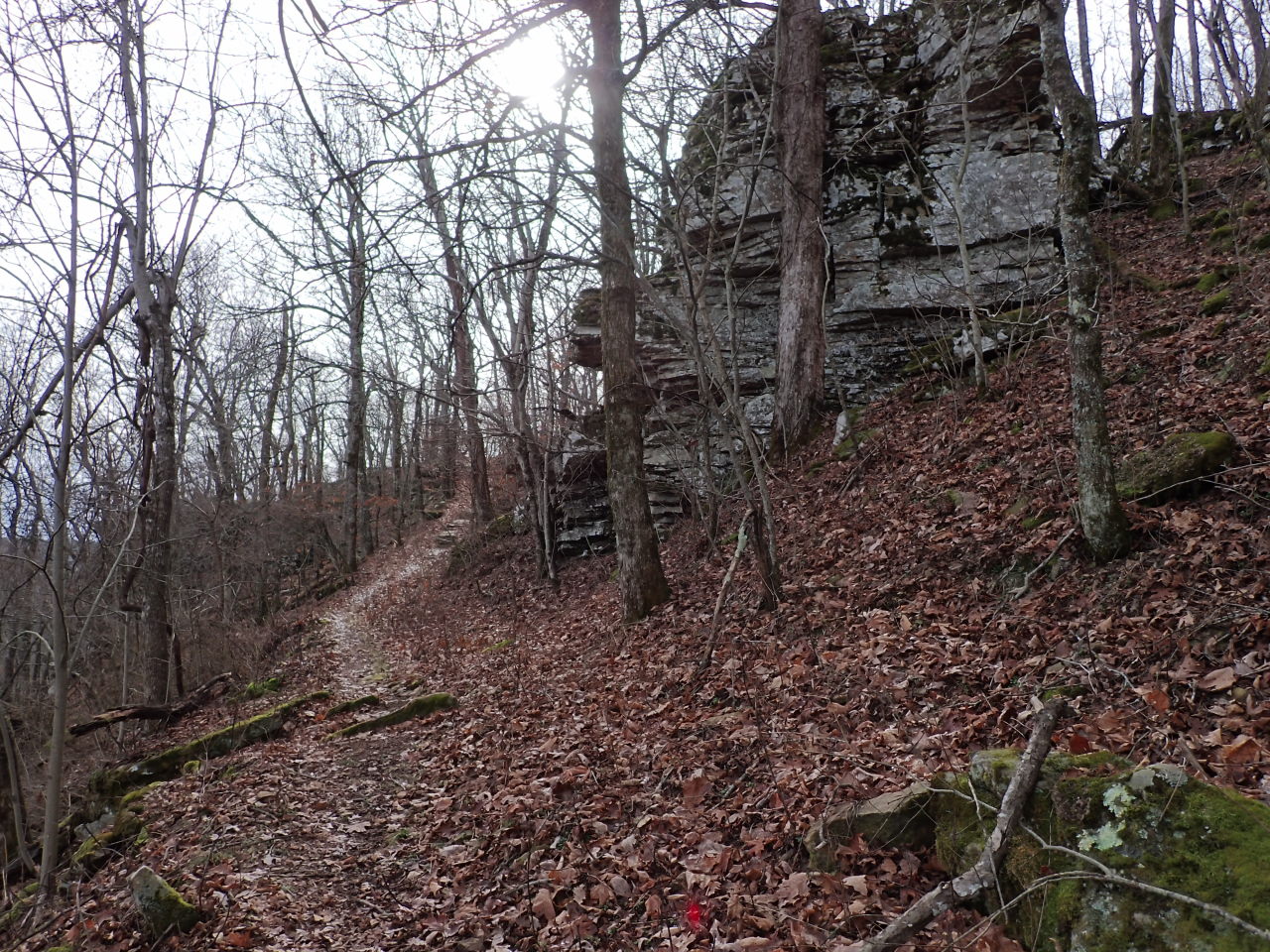 Mt Magazine Trail | The Compulsive Hiker