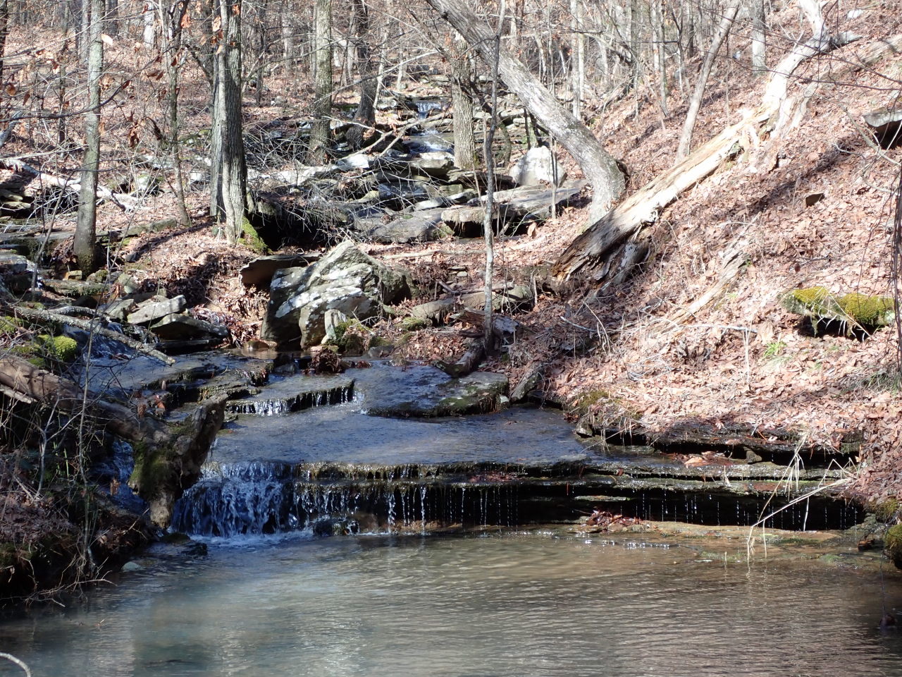 Mount Nebo State Park | The Compulsive Hiker