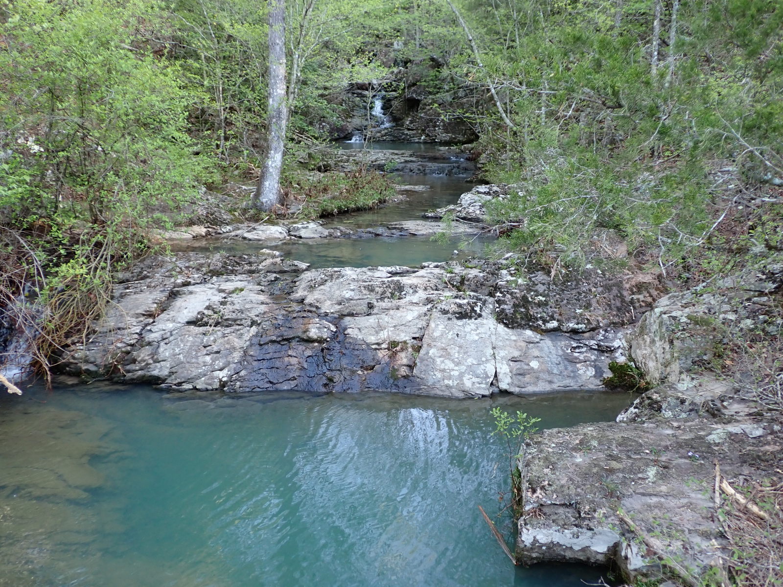 Cossatot River State Park, #2 | The Compulsive Hiker