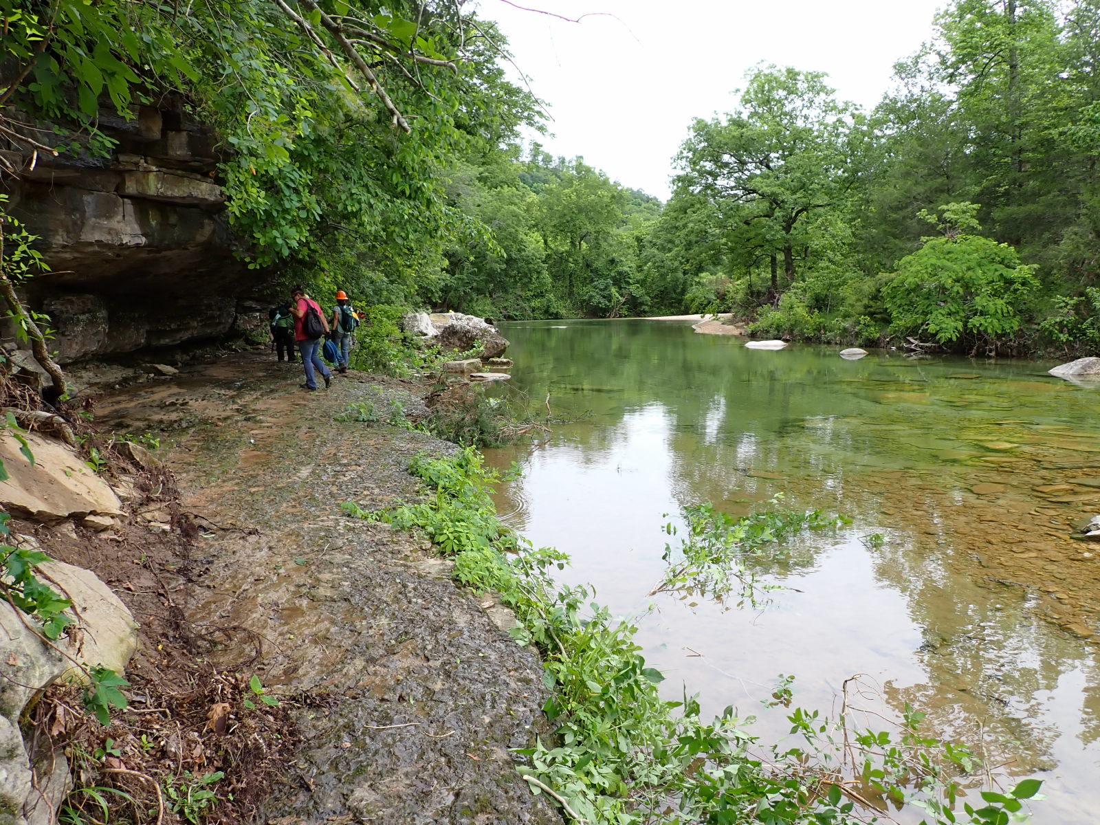 Making the North Sylamore Creek Trail great again! | The Compulsive Hiker